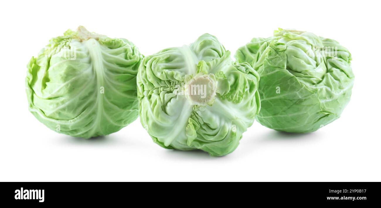 Three heads of cabbage isolated on white Stock Photo - Alamy