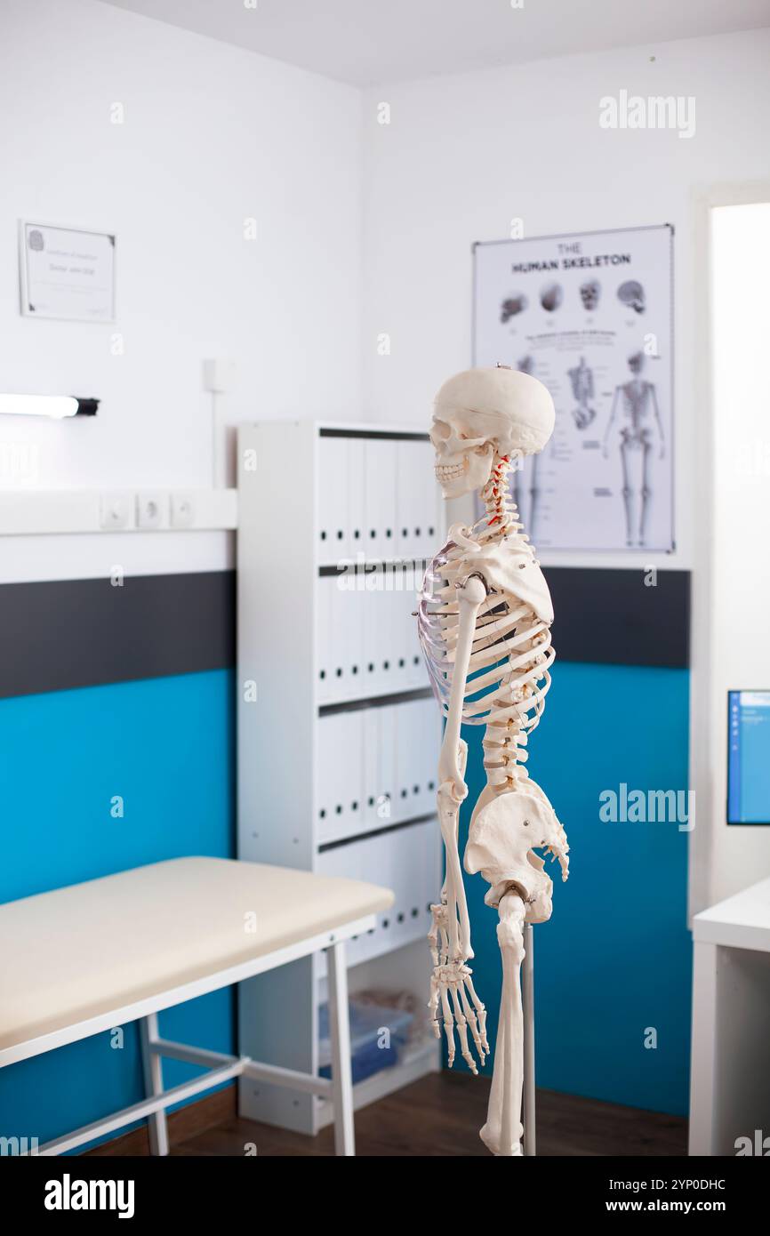 In bright hospital room, an anatomical skeleton and clinical bed await ...