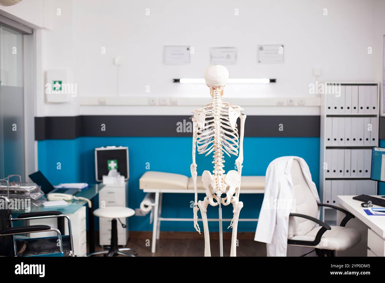 Skeletal model stands in doctors office with diagnostic focus on joints ...