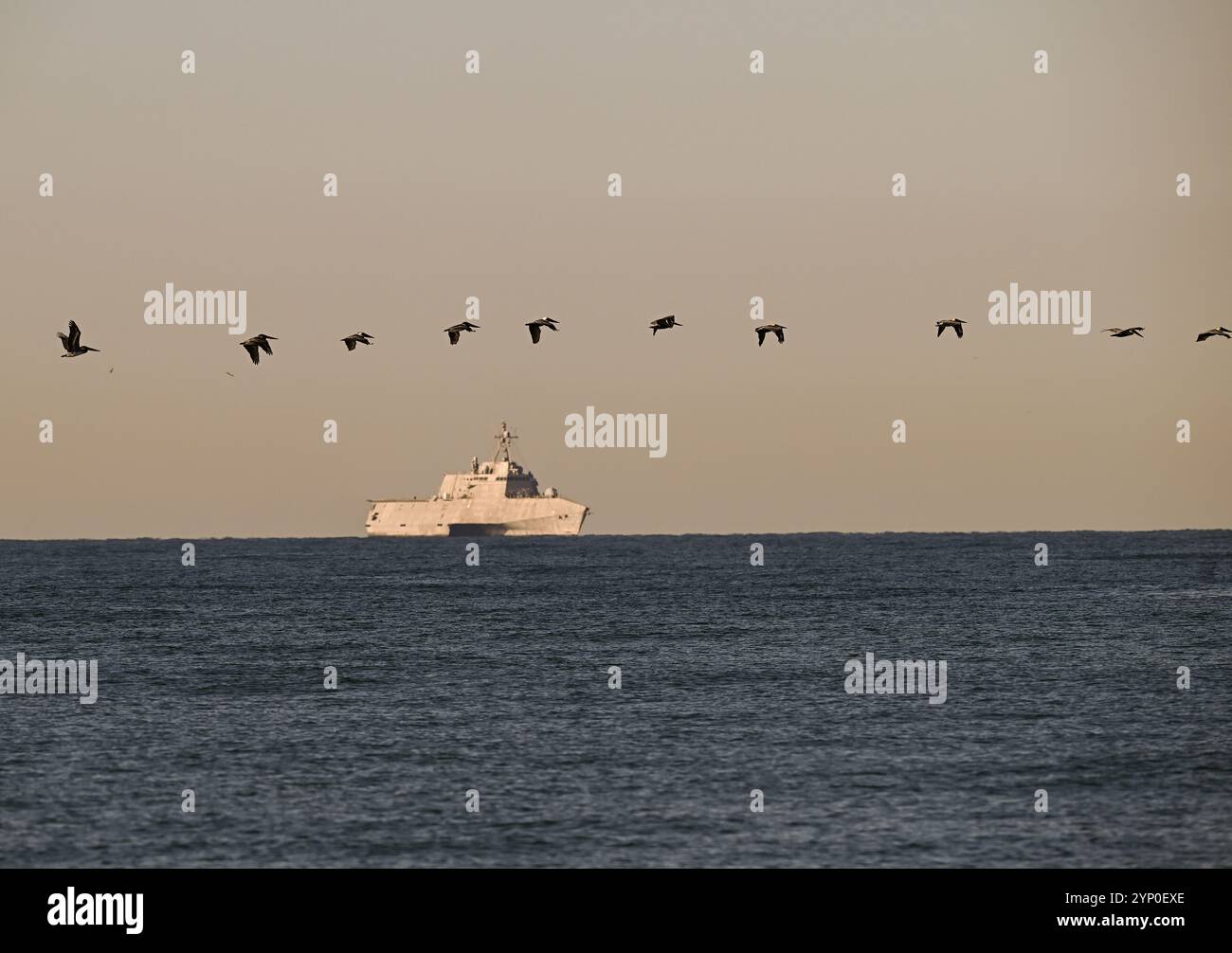 Birds line the sky as USS Canberra (LCS 30) makes it way to Naval ...
