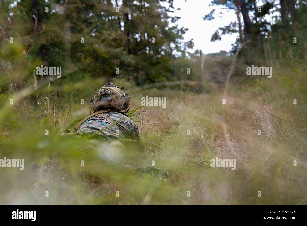 U.S. Marine Corps 1stLt. Alex Wilson, a field artillery officer with ...