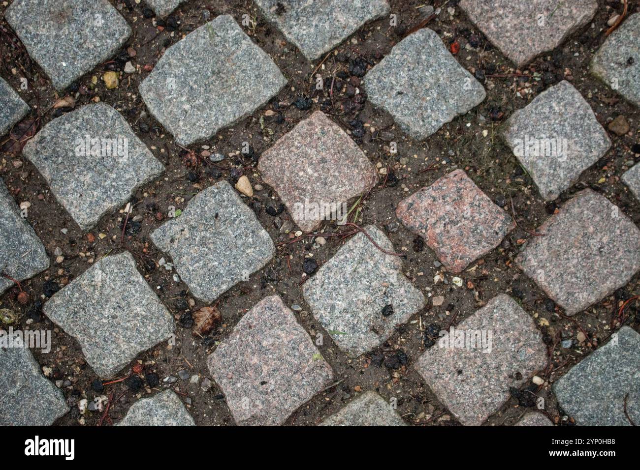 Cobblestone and grass texture Copenhagen Filipsparken Denmark Copyright ...