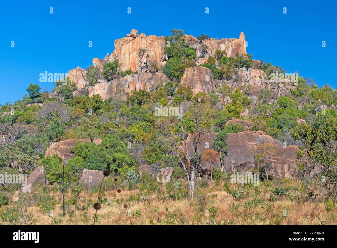 Rocks in the African Forest in Matobo National Park in Zimbabwe Stock ...