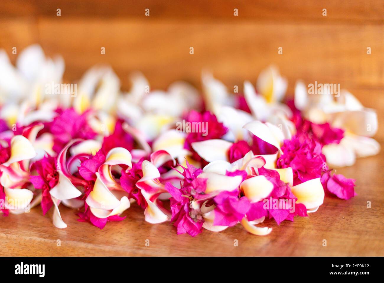 Colorful arrangement of floral patterns hi-res stock photography and ...