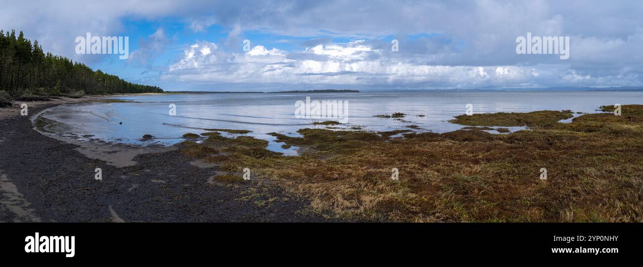 Panorama of the beach at Willapa Bay in Leadbetter Point State Park in ...