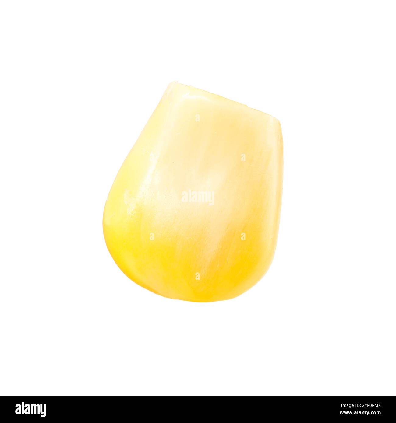 One fresh corn kernel isolated on white Stock Photo - Alamy