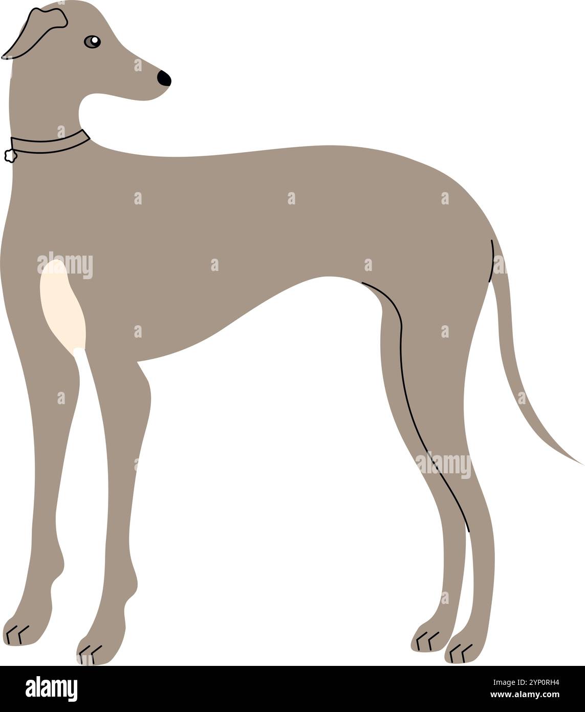 Posing greyhound Stock Vector Images - Alamy