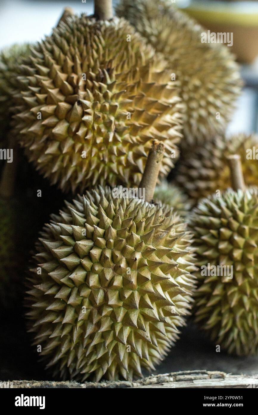 Durian seed hi-res stock photography and images - Alamy