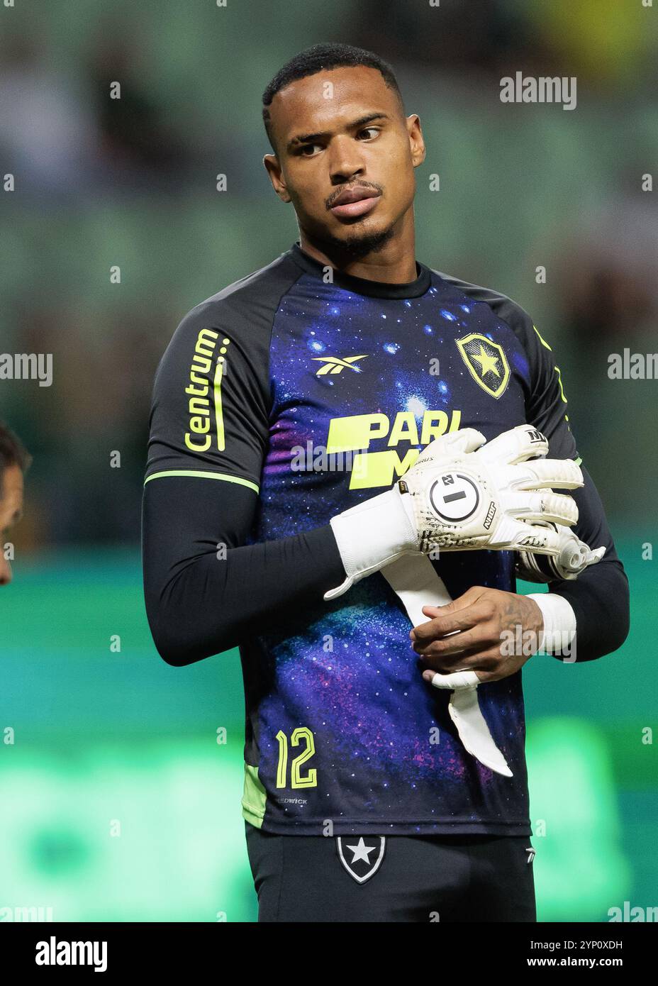Sao Paulo, Brazil. 26th November, 2024. Soccer Football - Brazilian ...