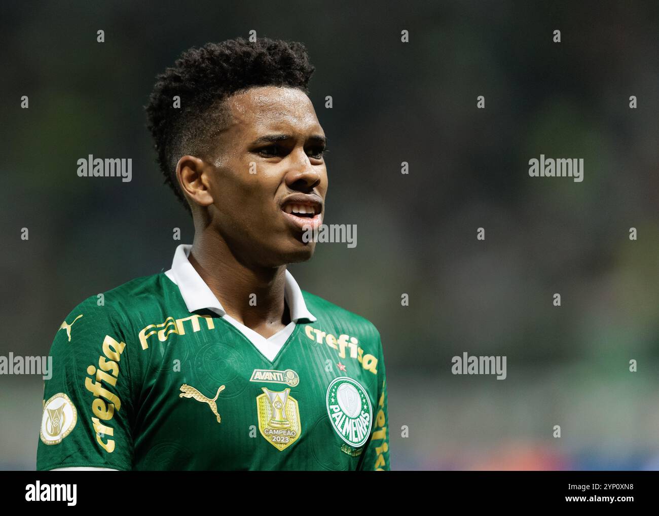 Sao Paulo, Brazil. 26th November, 2024. Soccer Football - Brazilian ...