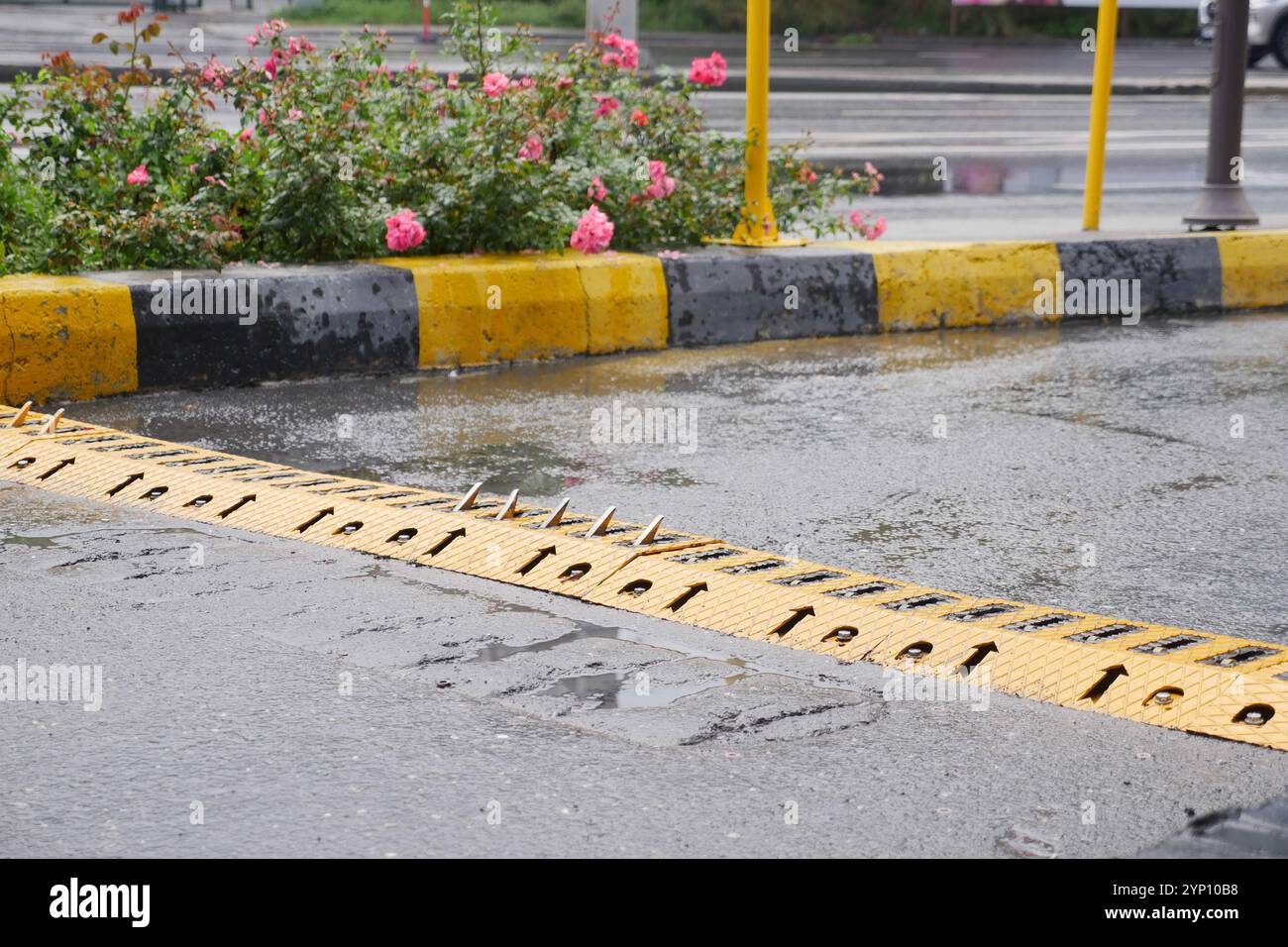 A wet pavement with speed bumps and a flower bed, beautifully ...