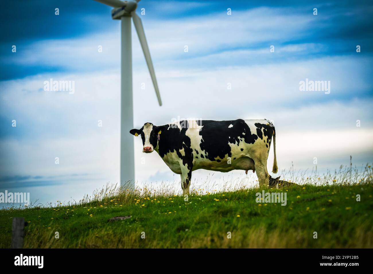 Green energy concept. Eco farm. Eco farming. Wind energy. Eco farming ...