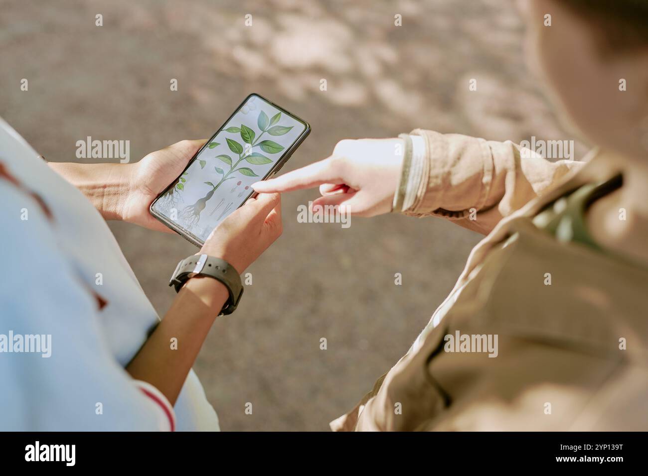 Two Boys Studying Plants Using Smartphone Stock Photo - Alamy