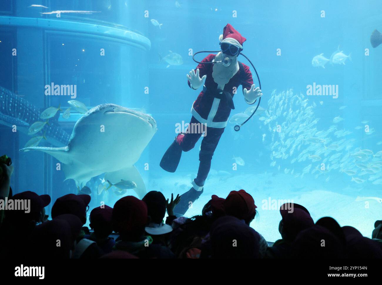 A diver clad in Santa Claus poses with fish in the water tank at Osaka ...
