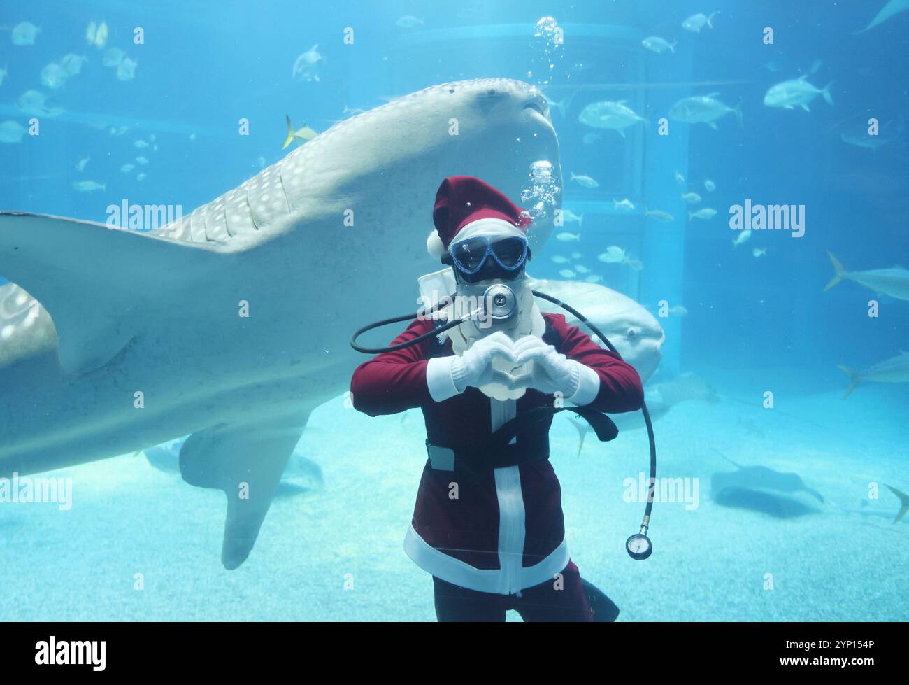 A diver clad in Santa Claus poses with fish in the water tank at Osaka ...