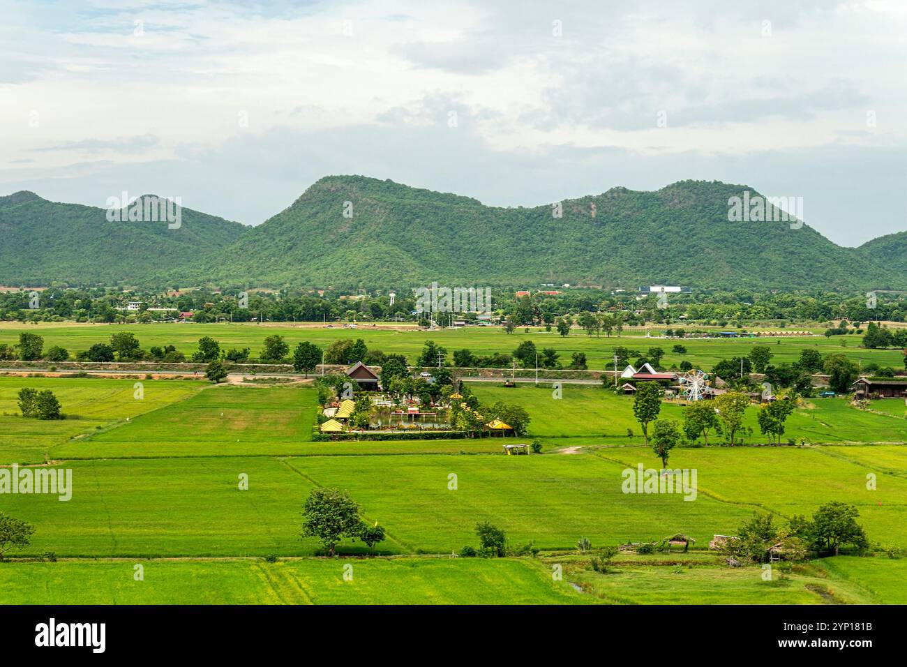 the house is surrounded by rice plantations. Agriculture in Southeast ...