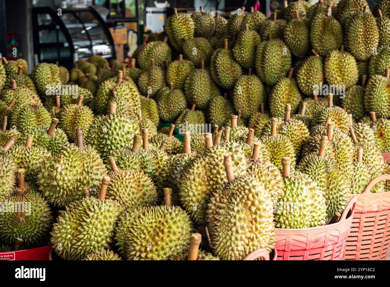 A Lot of durians on a truck to sell at the fruit market Stock Photo - Alamy