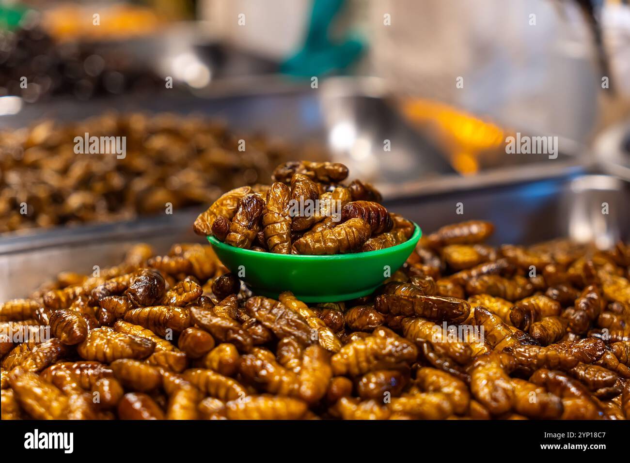 Fried insect larvae on sale in market in Cambodia. Exotic Thai street ...