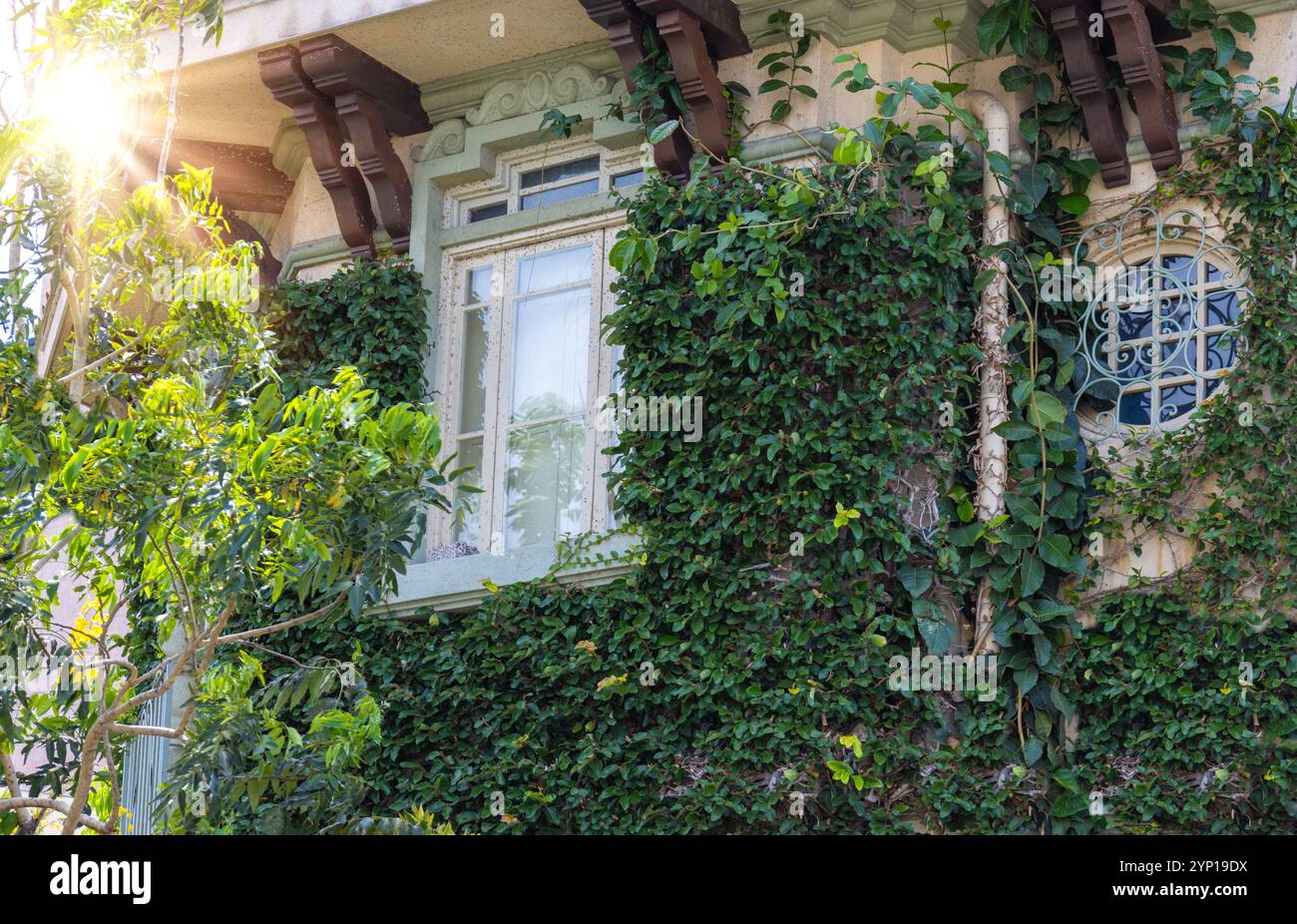 Costa Rica, colorful San Jose streets in historic city center ...