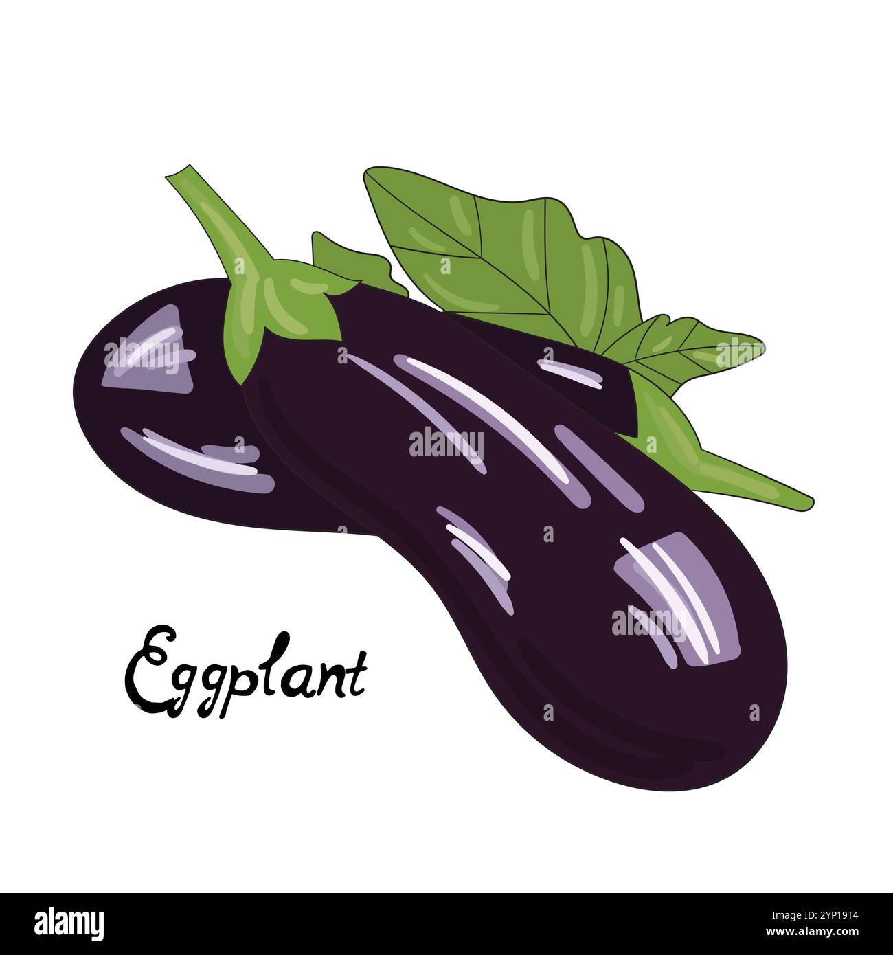 Vegetable eggplant vector illustration Stock Vector Image & Art - Alamy