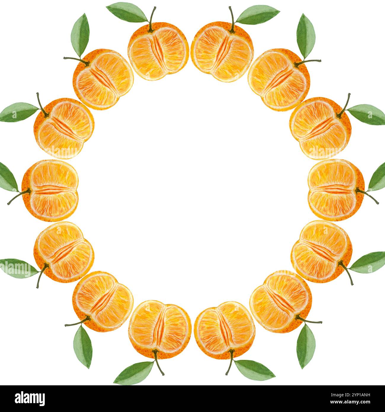 Tangerine round watercolor frame isolated on white. High quality hand ...