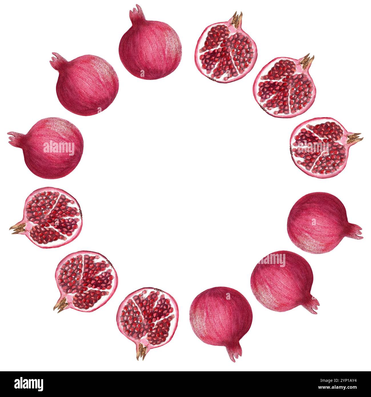 An open pomegranate watercolor round frame isolated on white. The hand ...