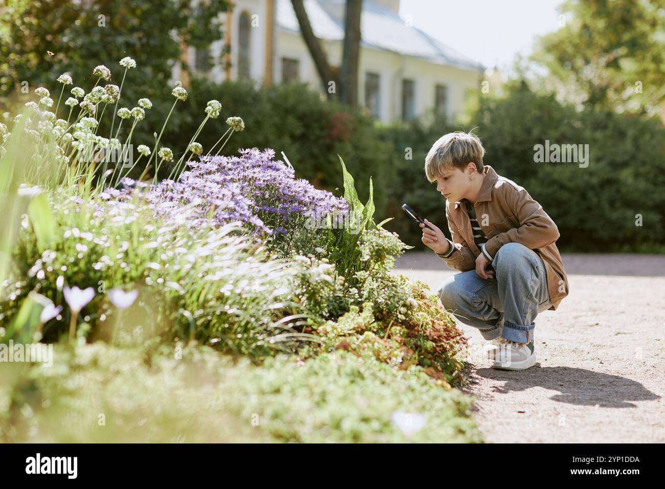 Teen Boy Using Magnifying Glass While Studying Plants In Park Stock ...