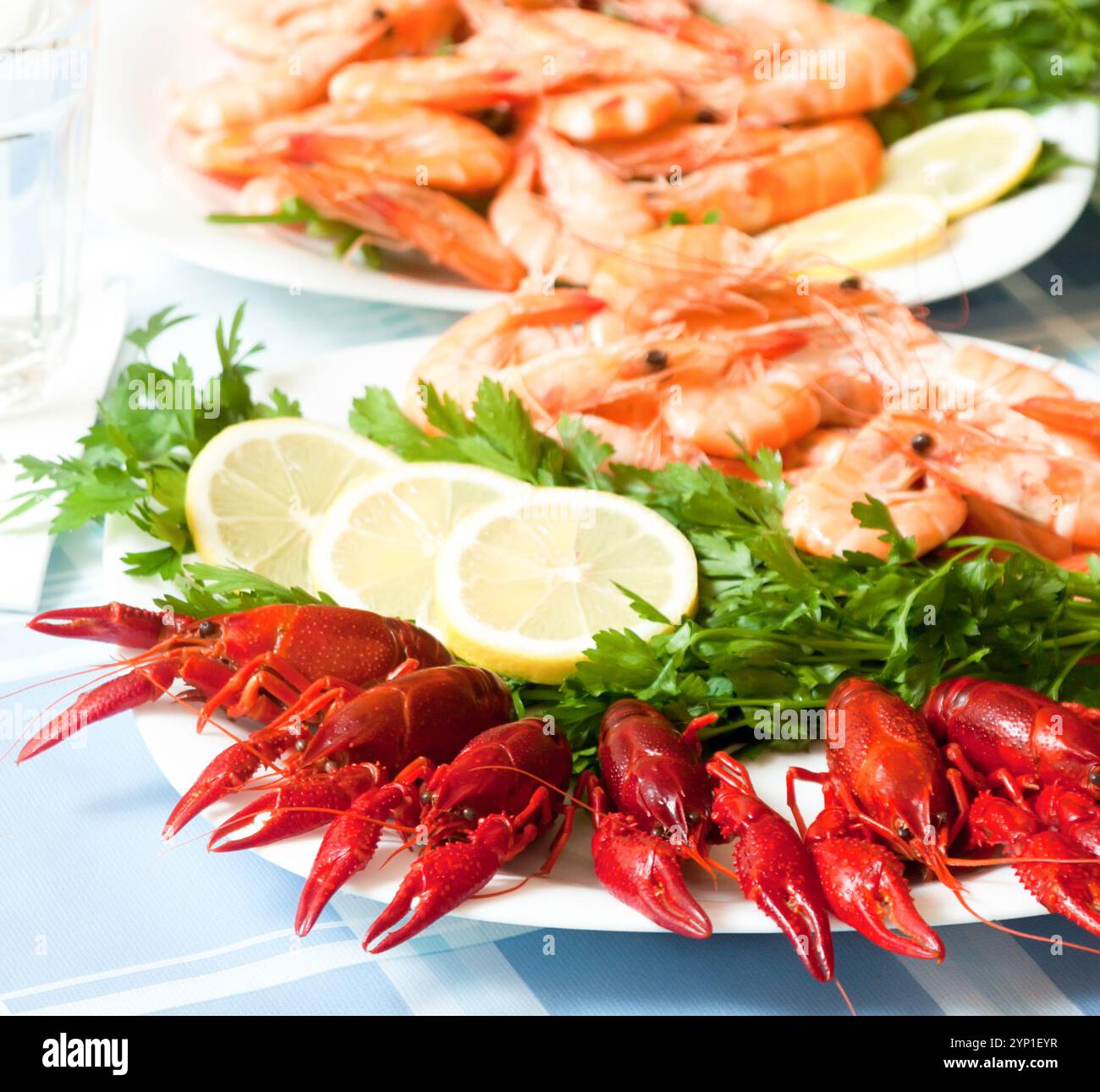 Shrimp prawns crab crawfish crayfish lobster boiled seafood claw hi-res ...
