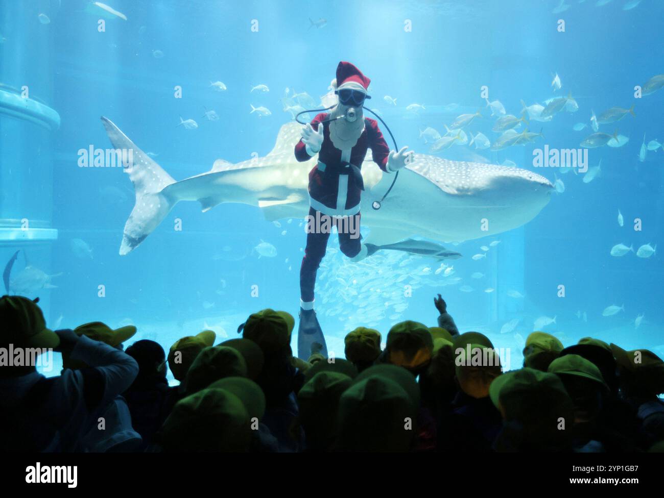 A diver clad in Santa Claus poses with fish in the water tank at Osaka ...