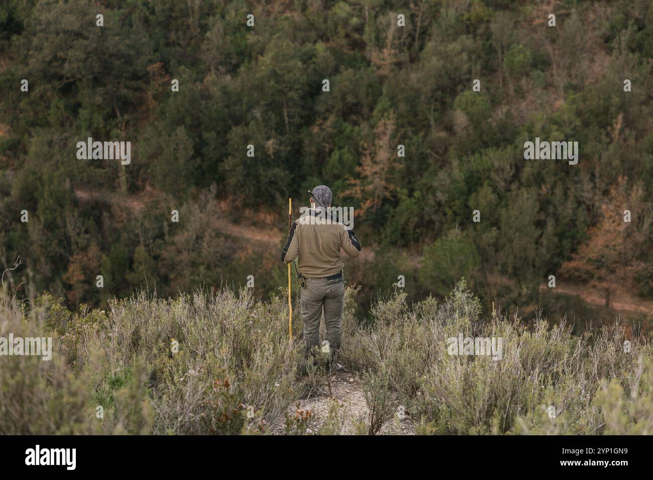 Hunter standing on hill looking at forest with rifle Stock Photo - Alamy