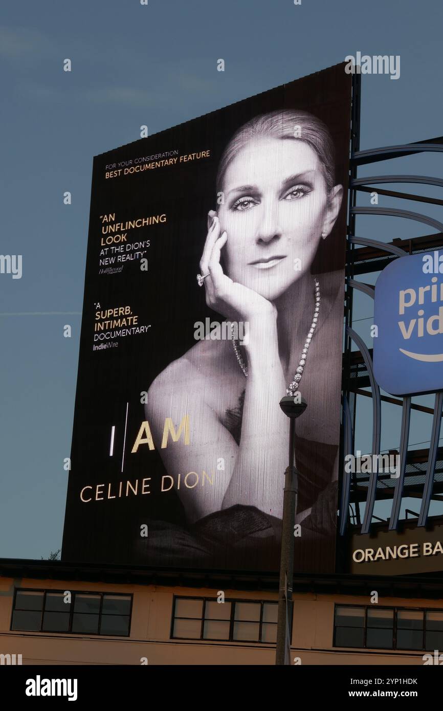 Celine Dion Photoshoot 2024