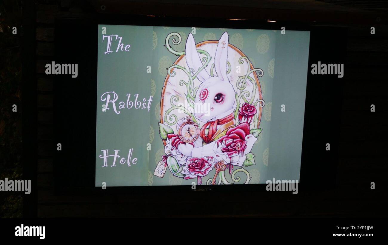 Los Angeles, California, USA 27th November 2024 The Rabbit Hole Bar ...