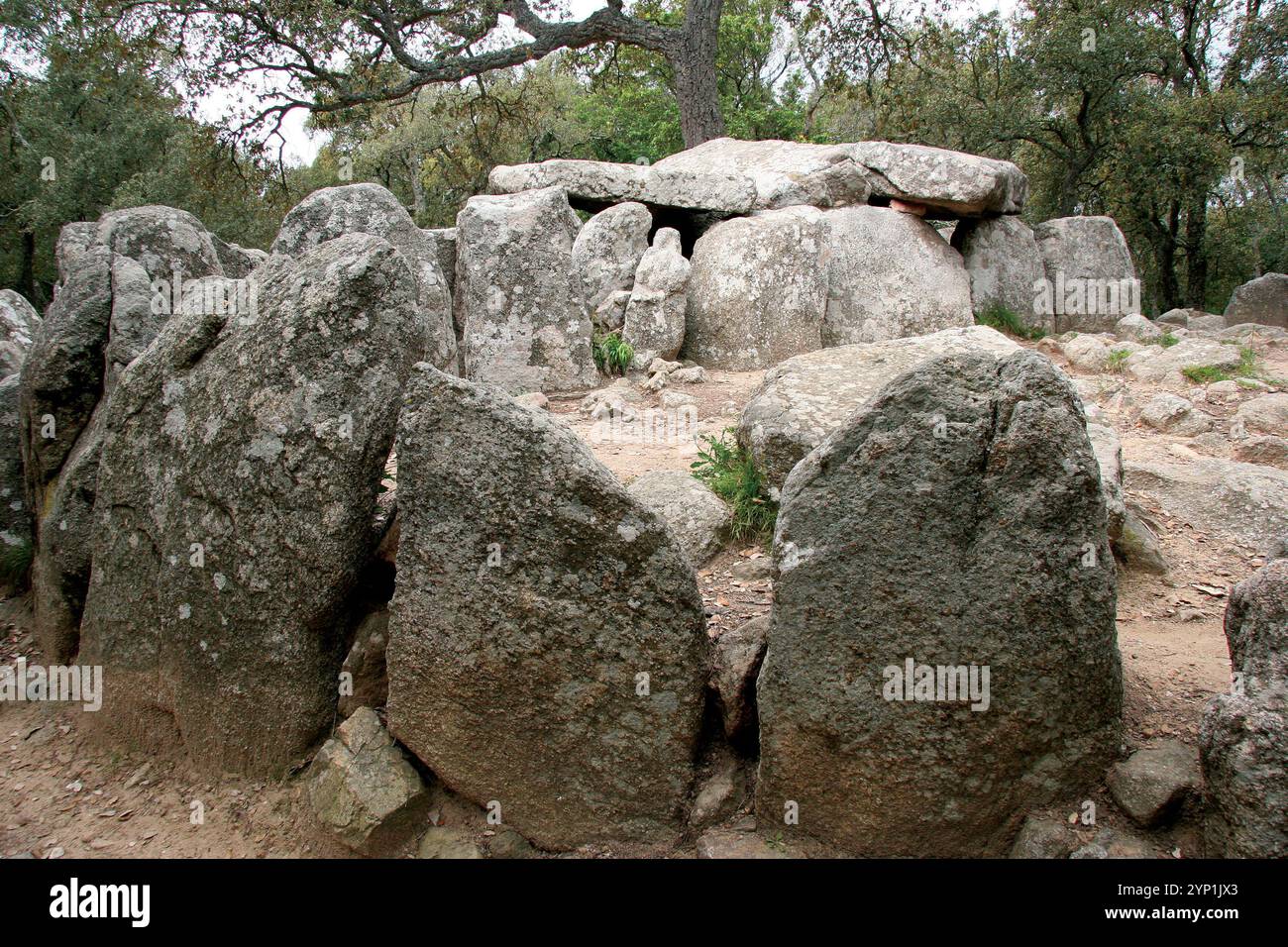Dolmen of "Cova d'en Daima". Megalith monument. 2700-2200 BCE. Granite ...