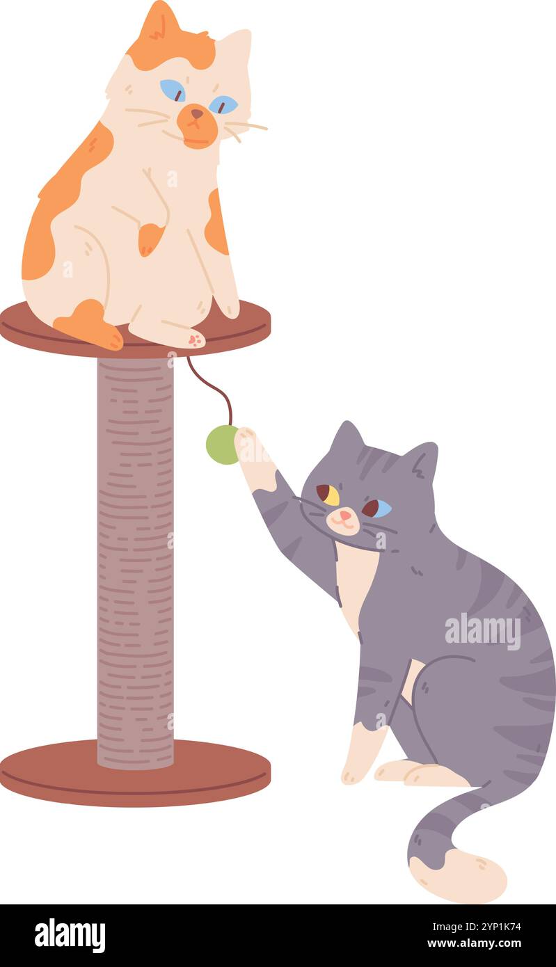 Cats playing together. Adorable pets. Happy animals isolated on white ...