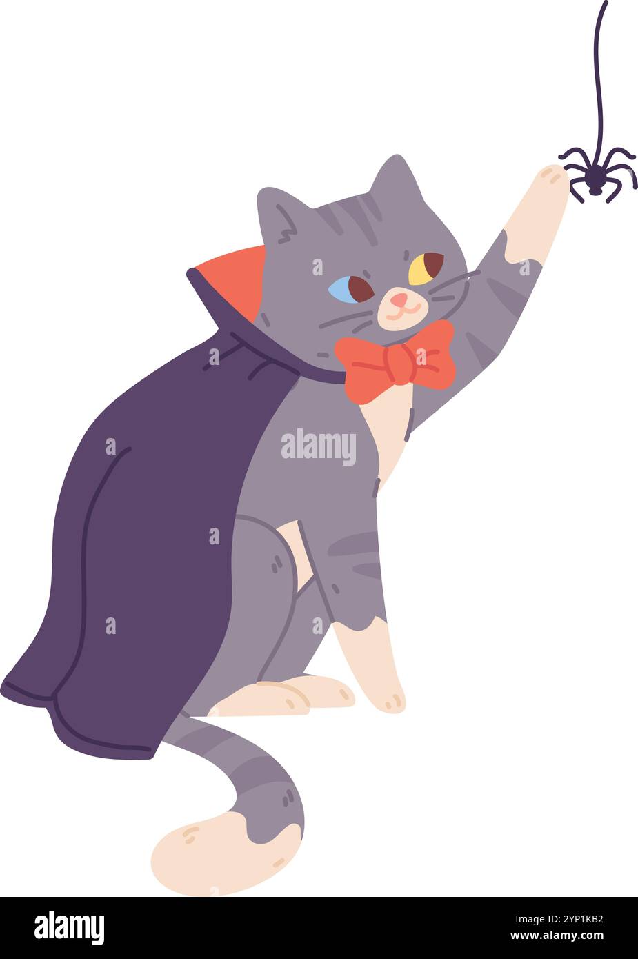 Cat catch spider. Cute costume halloween pet isolated on white ...