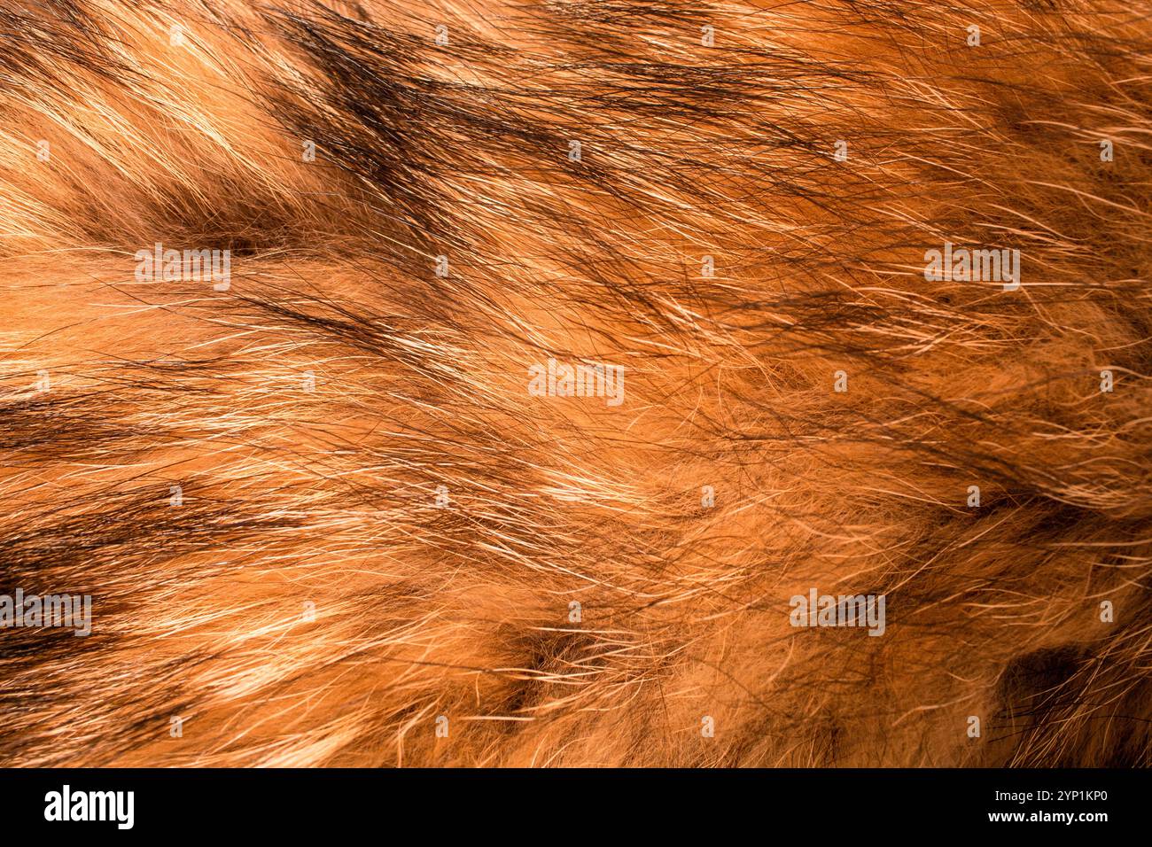 Burnt orange natural fur. Textured background. Slow fashion Stock Photo ...
