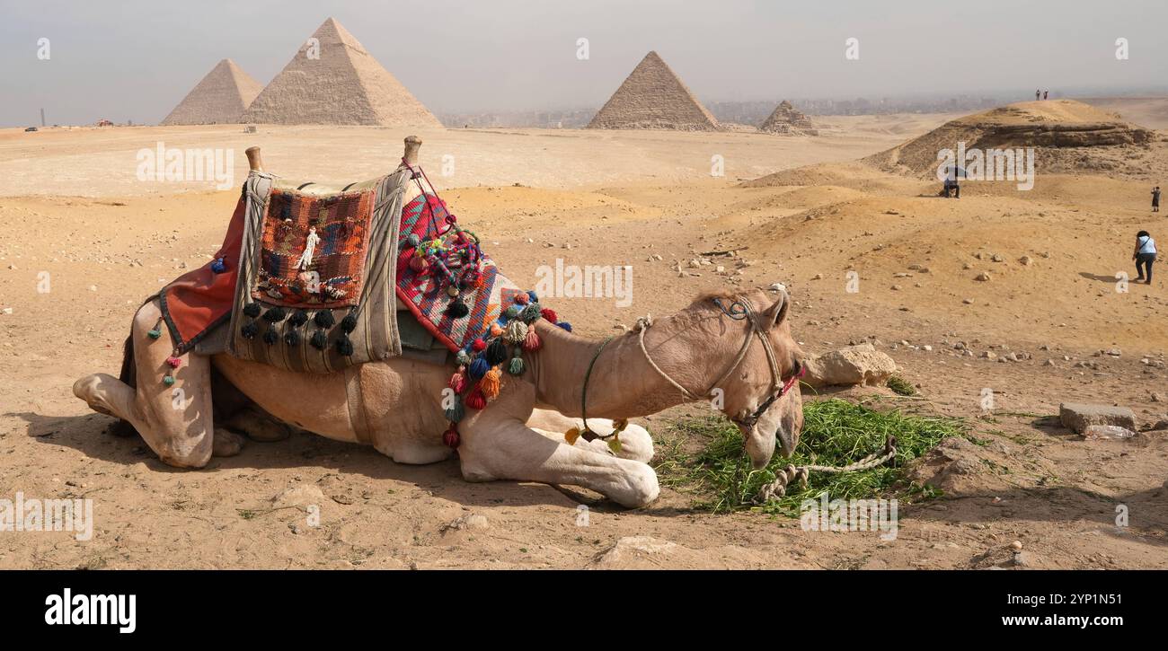 Kairo Ägypten, 20241124, Pyramiden, Giza, Gizeh, Grabanlagen *** Cairo ...