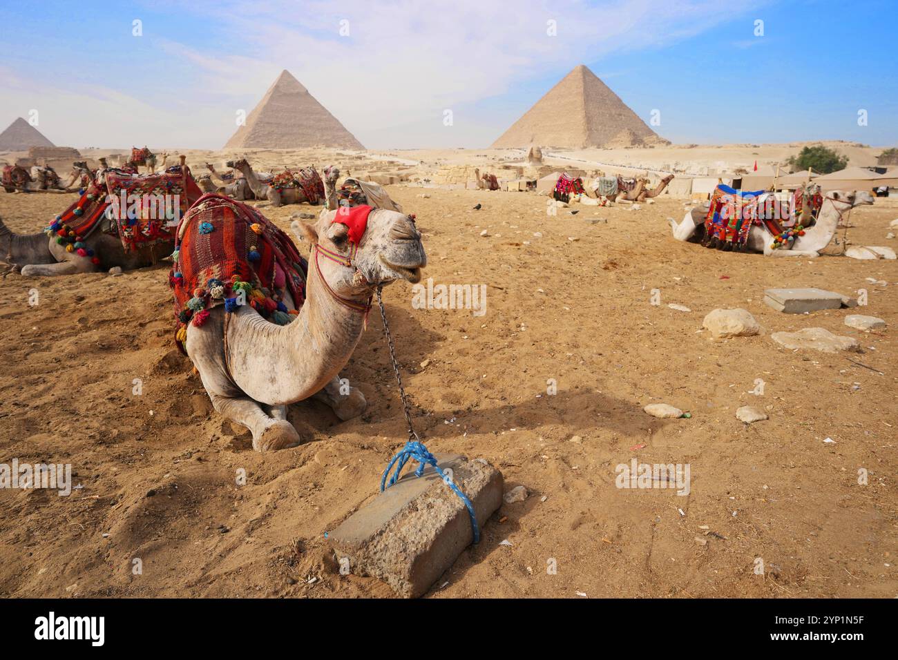 Kairo Ägypten, 20241124, Pyramiden, Giza, Gizeh, Grabanlagen *** Cairo ...