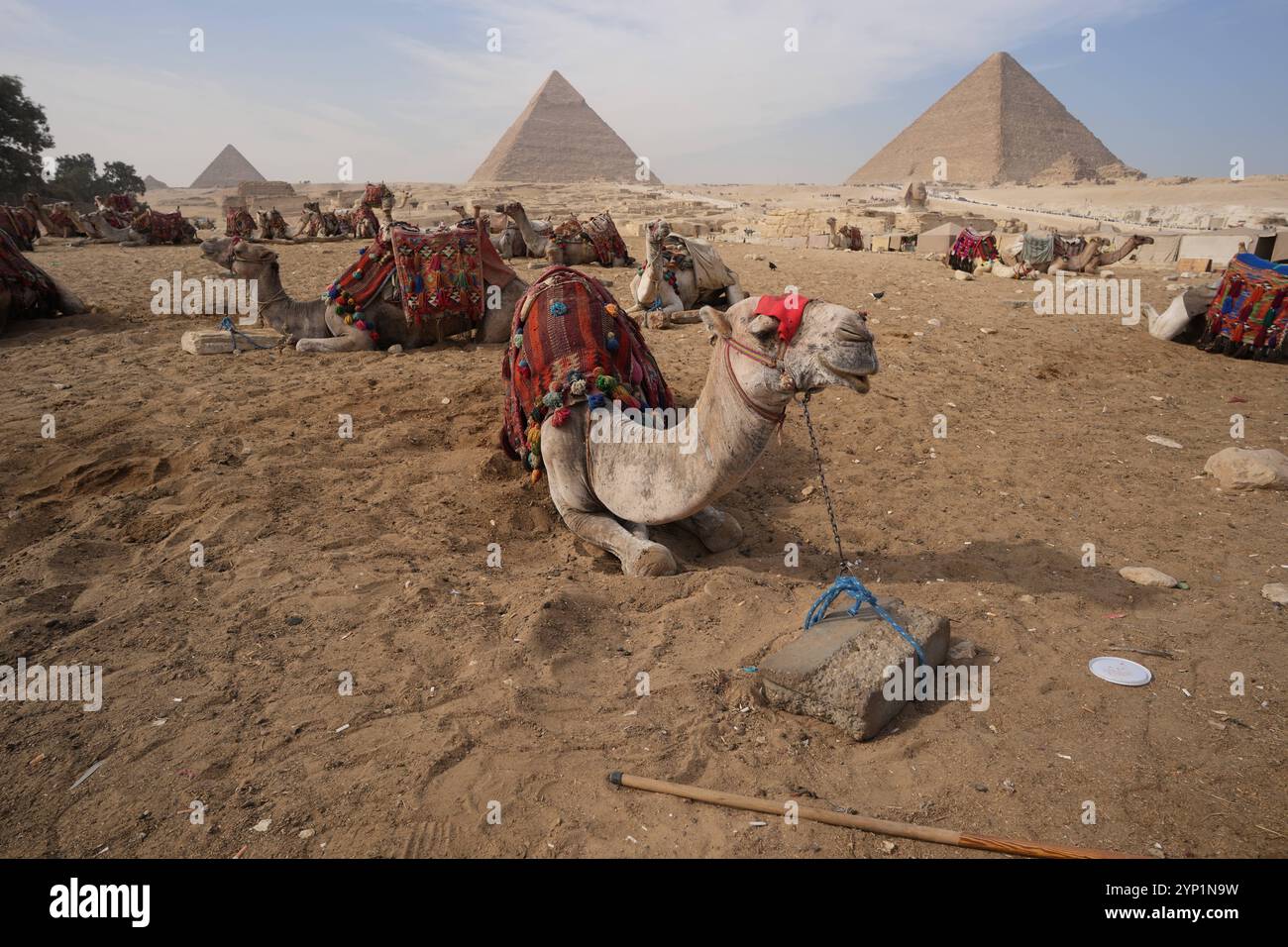 Kairo Ägypten, 20241124, Pyramiden, Giza, Gizeh, Grabanlagen *** Cairo ...