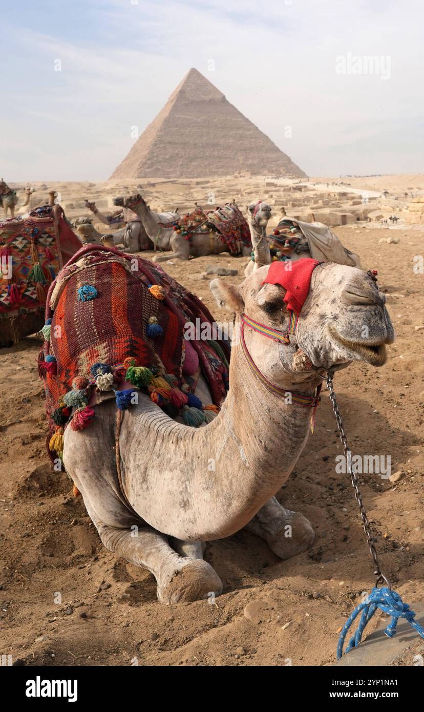 Kairo Ägypten, 20241124, Pyramiden, Giza, Gizeh, Grabanlagen *** Cairo ...