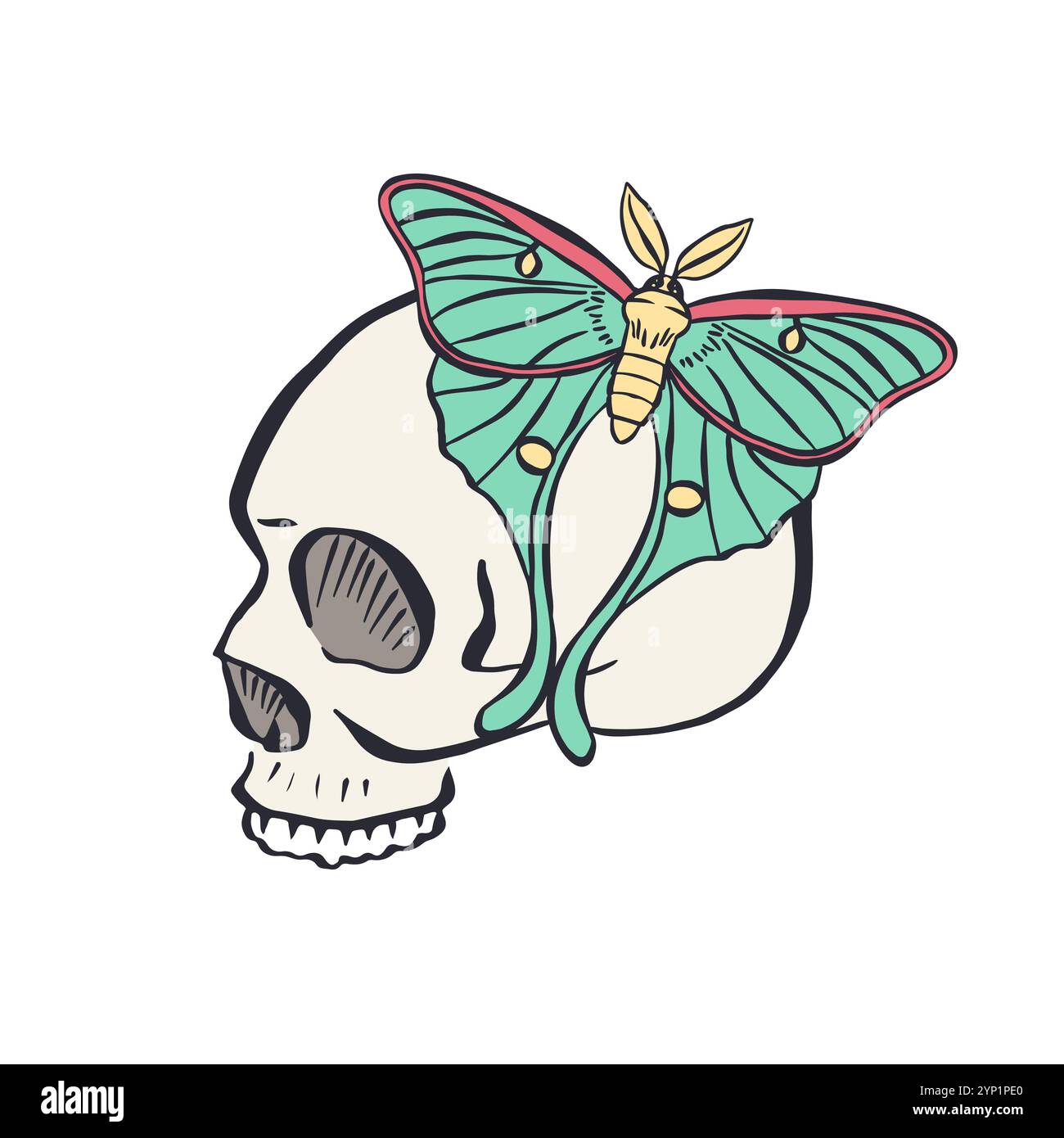 Hand drawn human skull with teal luna moth wings isolated on white ...
