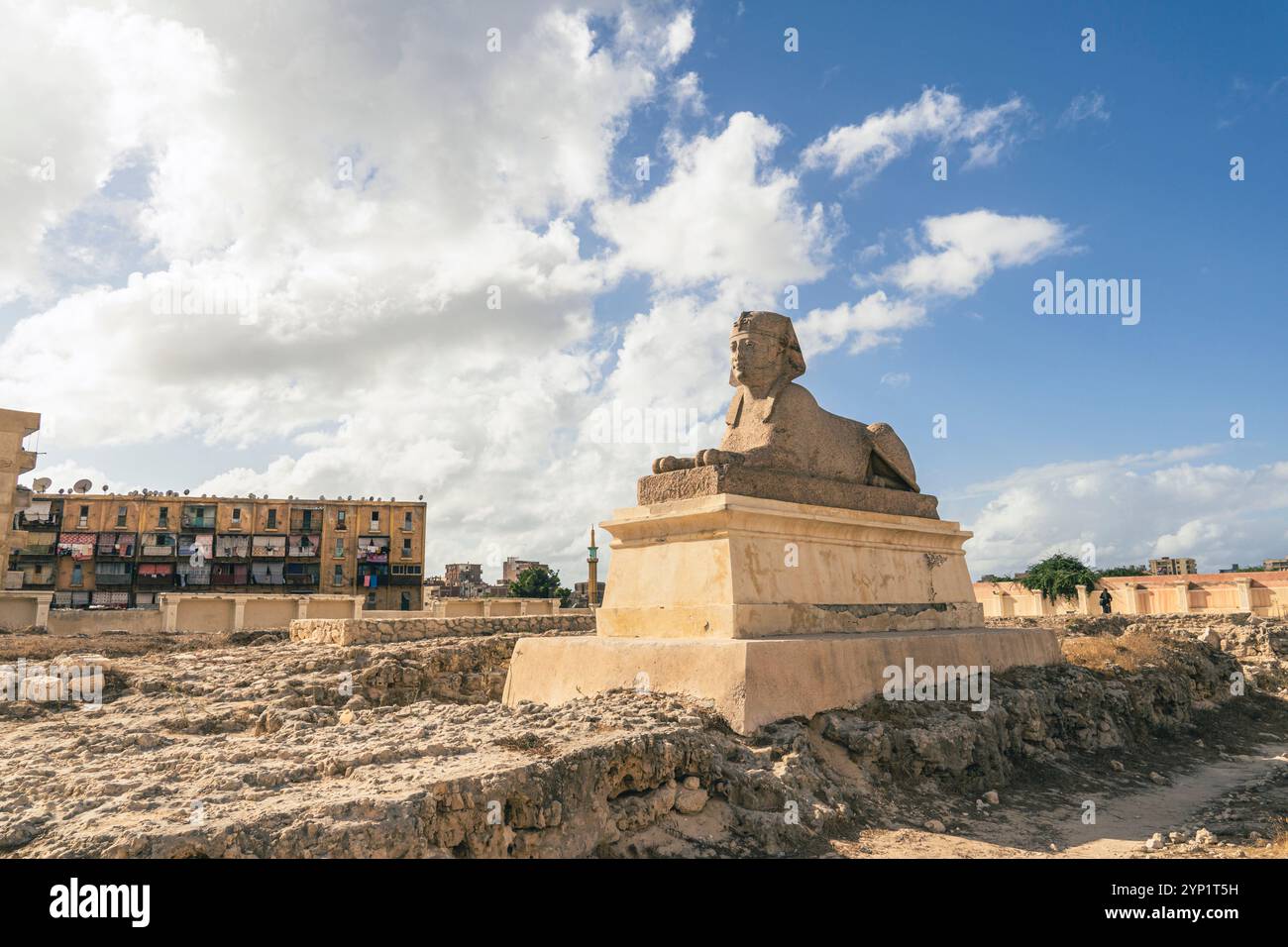 Statue of the ancient Sphinx on the background of modern houses and ...