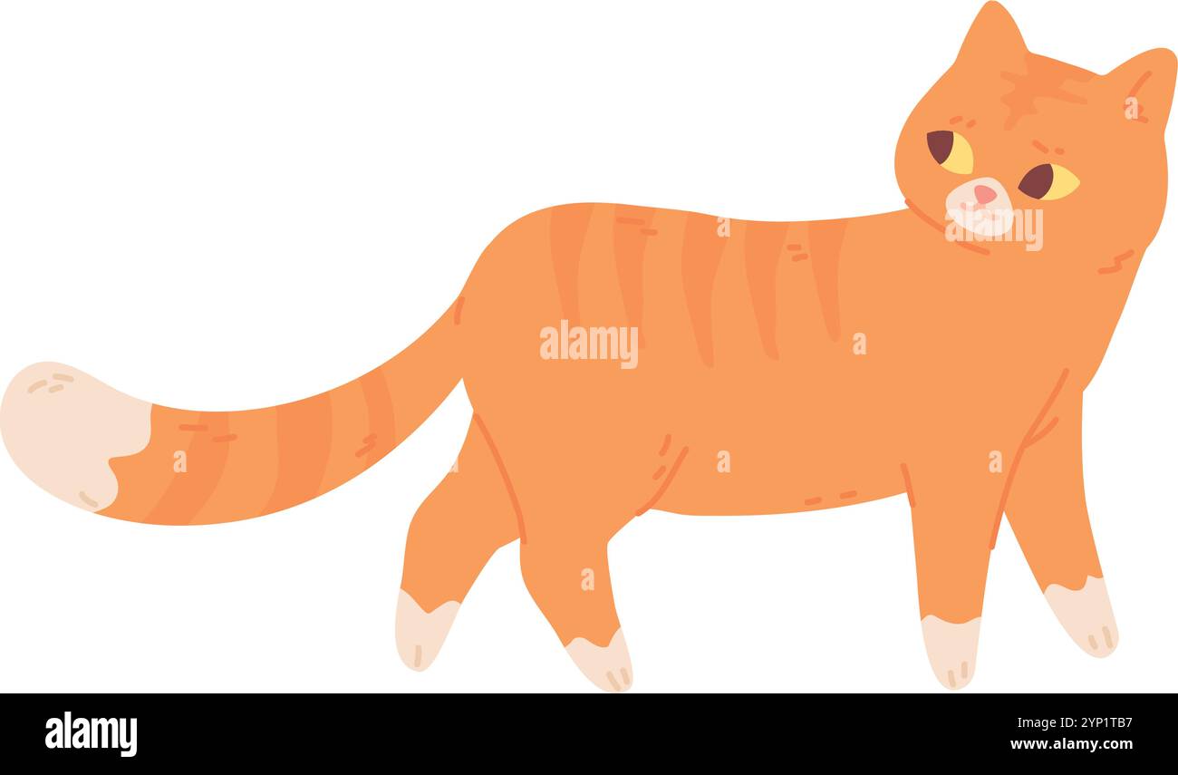 Interested cat looking back. Funny ginger kitten isolated on white ...