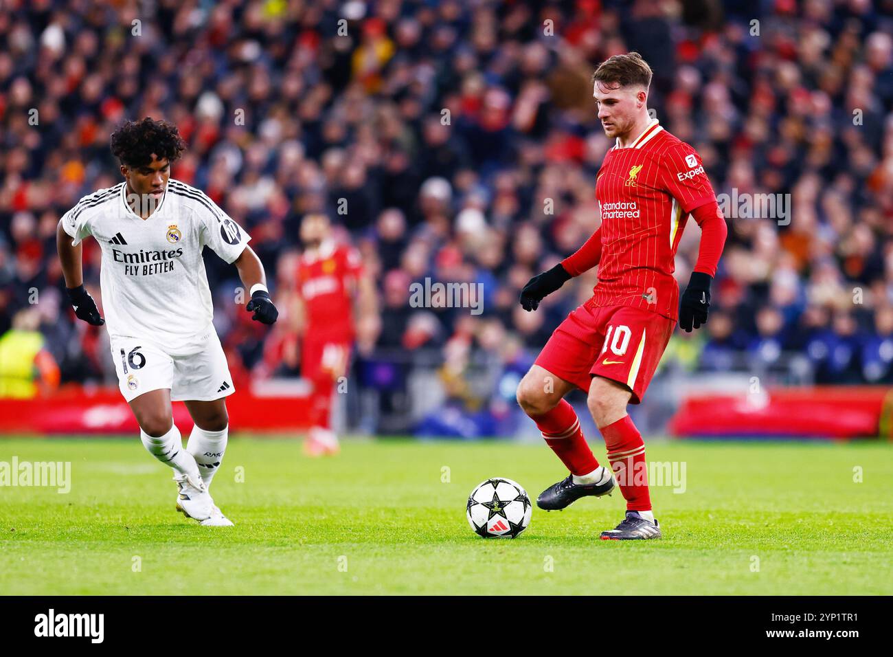 Alexis Mac Allister of Liverpool during the UEFA Champions League ...