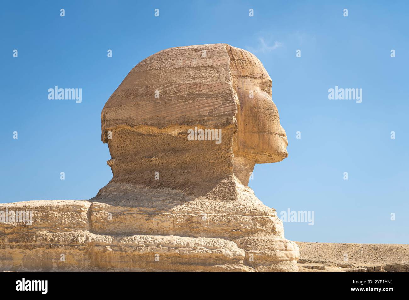 Sphinx Egypt portrait. Portrait of the Great Sphinx of Egypt close ...