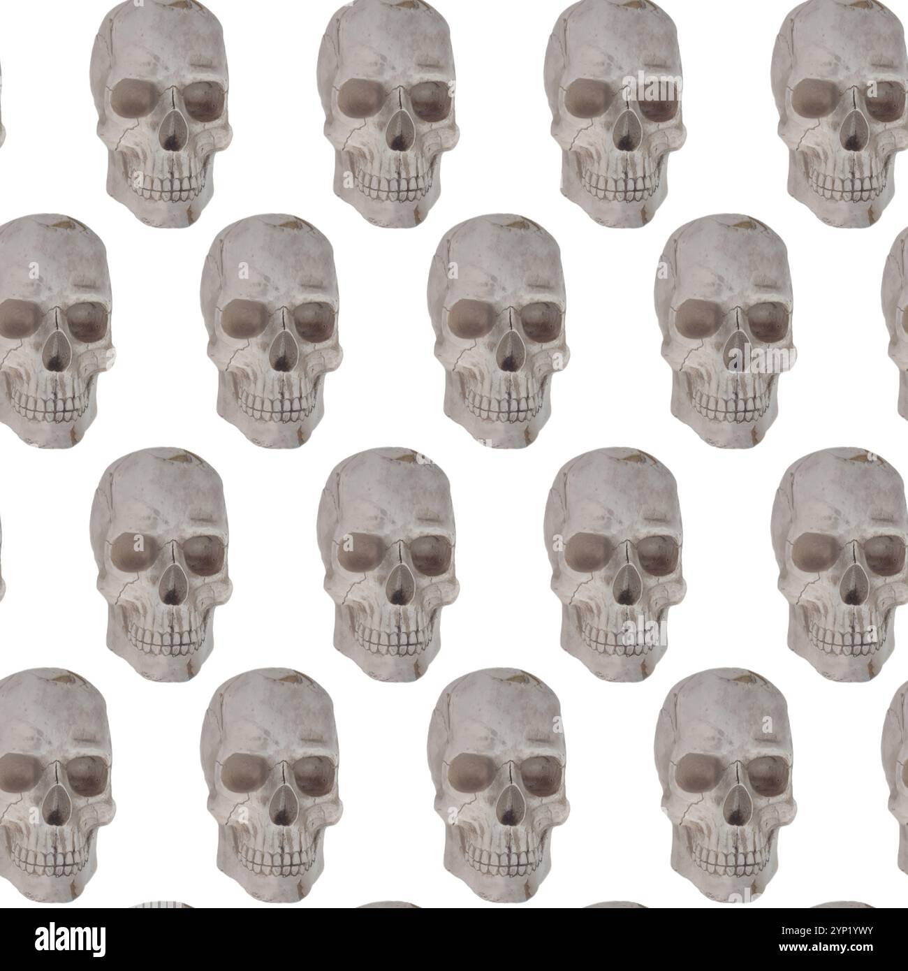 Realistic human skull illustration. Ideal for medical, anatomical, or ...