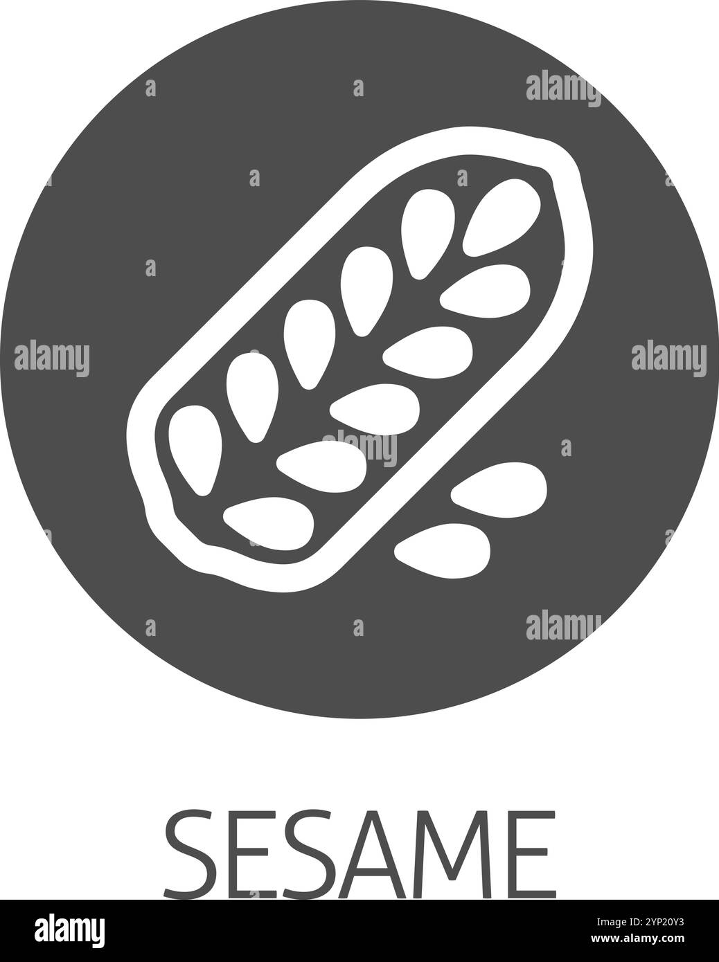 Sesame Seed Capsule Pod Food Allergen Icon Concept Stock Vector Image ...