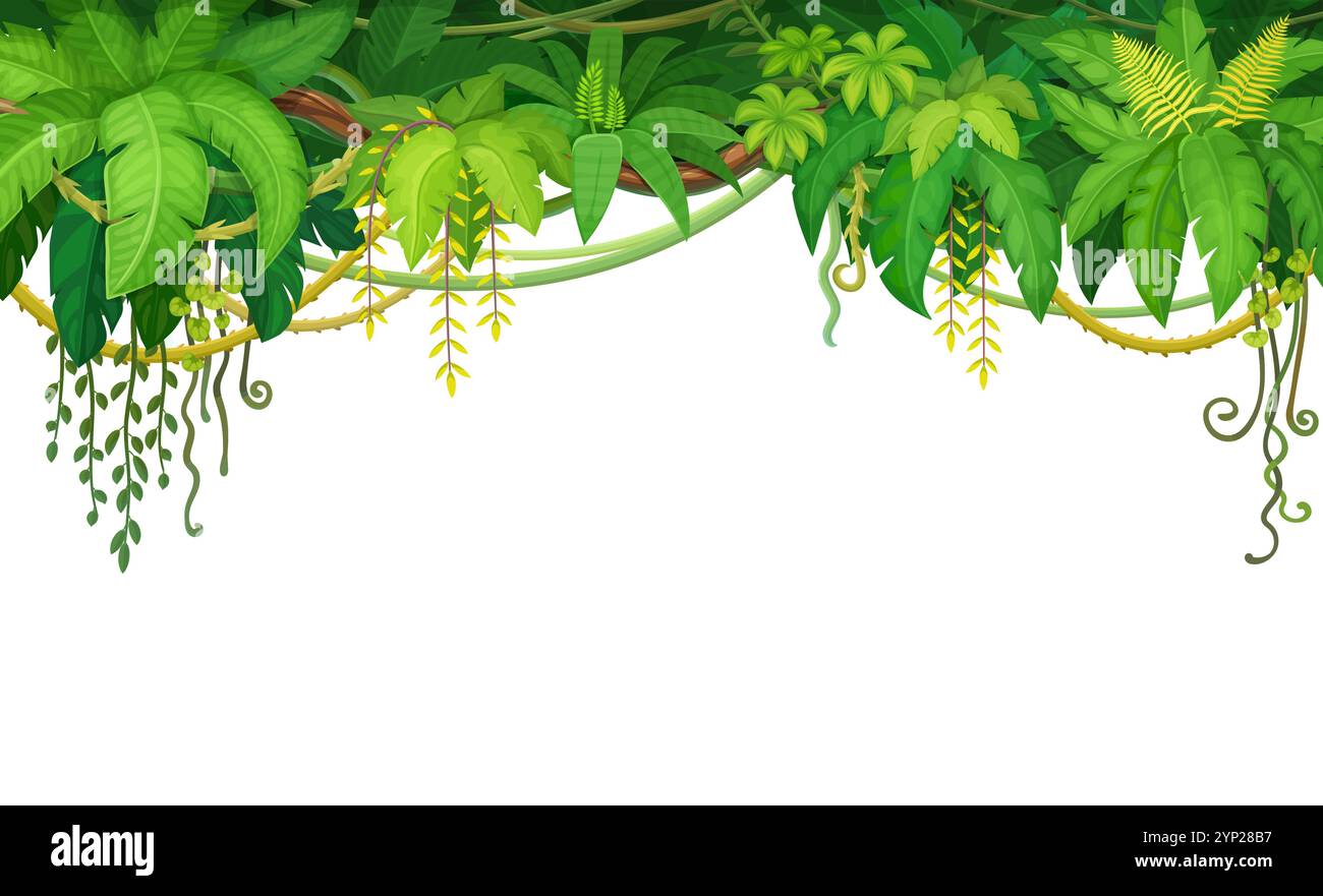 Jungle liana and tropical vines with rainforest plant branches frame ...