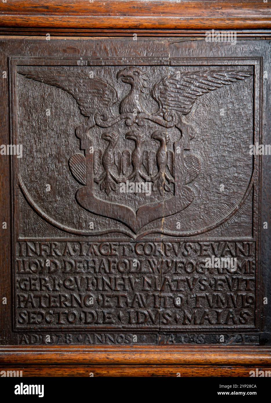 Hafodlwyfog hi-res stock photography and images - Alamy