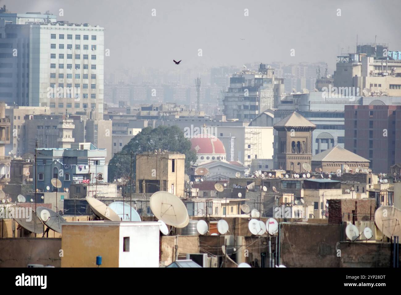 Kairo Ägypten, 20241124,Kairo, Altstadt, mit Blick auf die ...